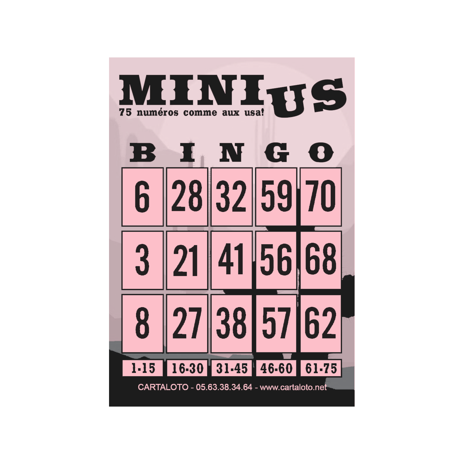 Mini bingo US I Partie de loto spéciale I Jeux bingo I Feuille loto