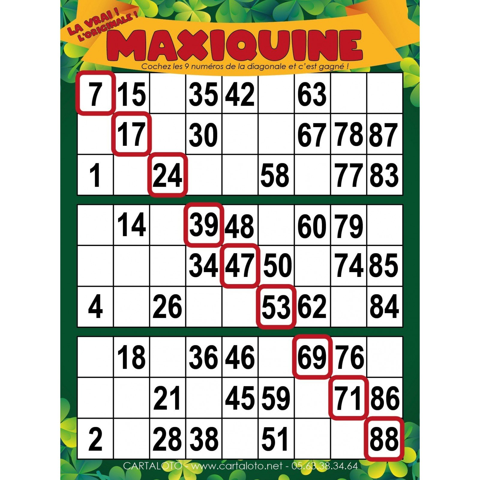 Maxiquine 3 ou 6 grilles de loto I Partie spéciale I Loto chance