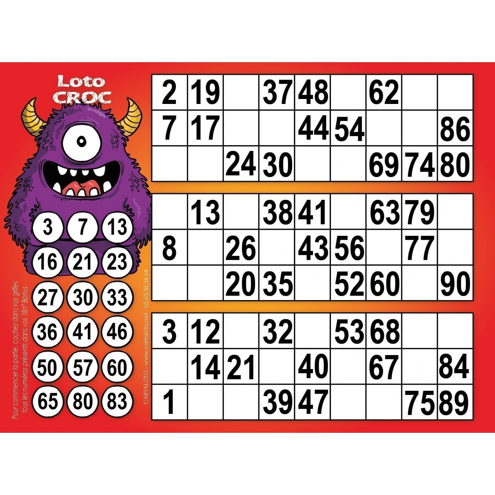 Loto croc I Partie de loto spéciale I Jeu d'ambiance 3 grilles de loto